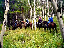 Teton Ridge Ranch in Tetonia, Idaho