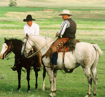 TA Guest Ranch - ON HOLD in Buffalo, Wyoming - Lodge & Ranch Deals
