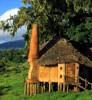AndBeyond Tanzania in Tour - Tour Package Deals
