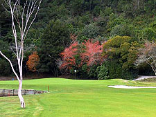 Moose Lodge & Golf Resort in Rotorua, New Zealand