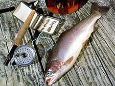 Moose Lodge & Golf Resort in Rotorua, New Zealand