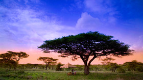 AndBeyond Tanzania in Tour - Tour Package Deals