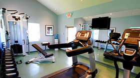 Cotton Tree Grand Cayman in Grand Cayman, Cayman Islands