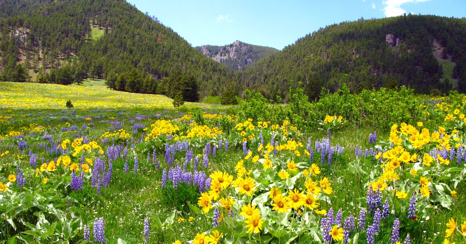 HF Bar Ranch in Saddlestring, WY - Lodge & Ranch Deals