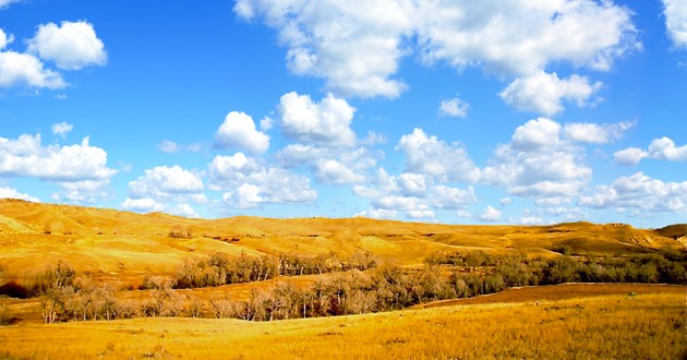 HF Bar Ranch in Saddlestring, WY - Lodge & Ranch Deals