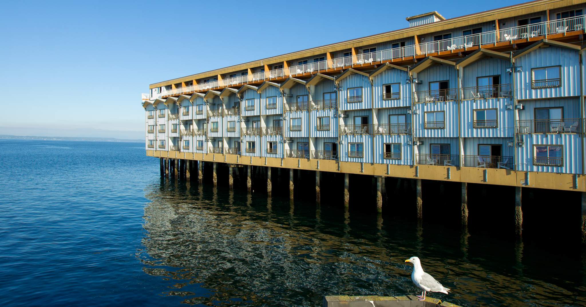 The Edgewater - A Noble House Hotel in Seattle, Washington