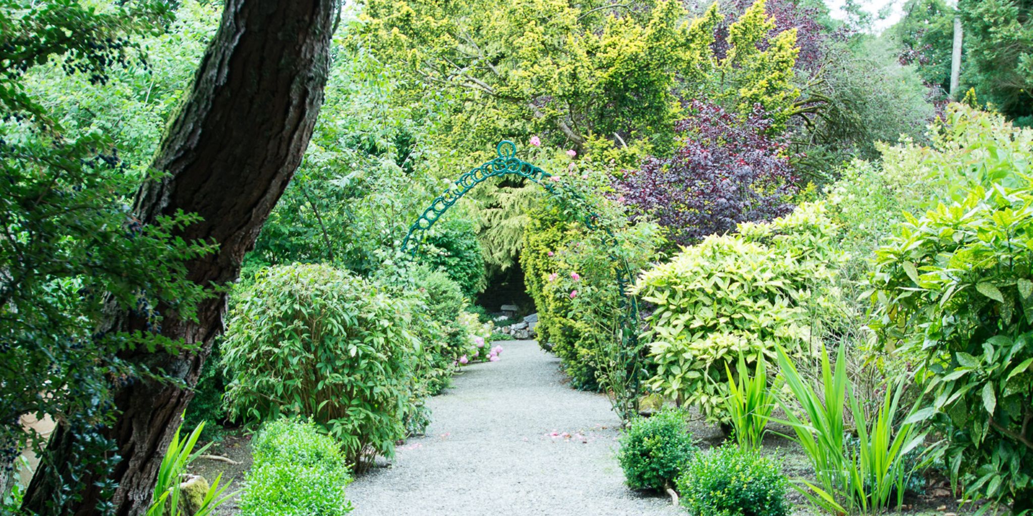 Rathsallagh House in Wicklow, Ireland