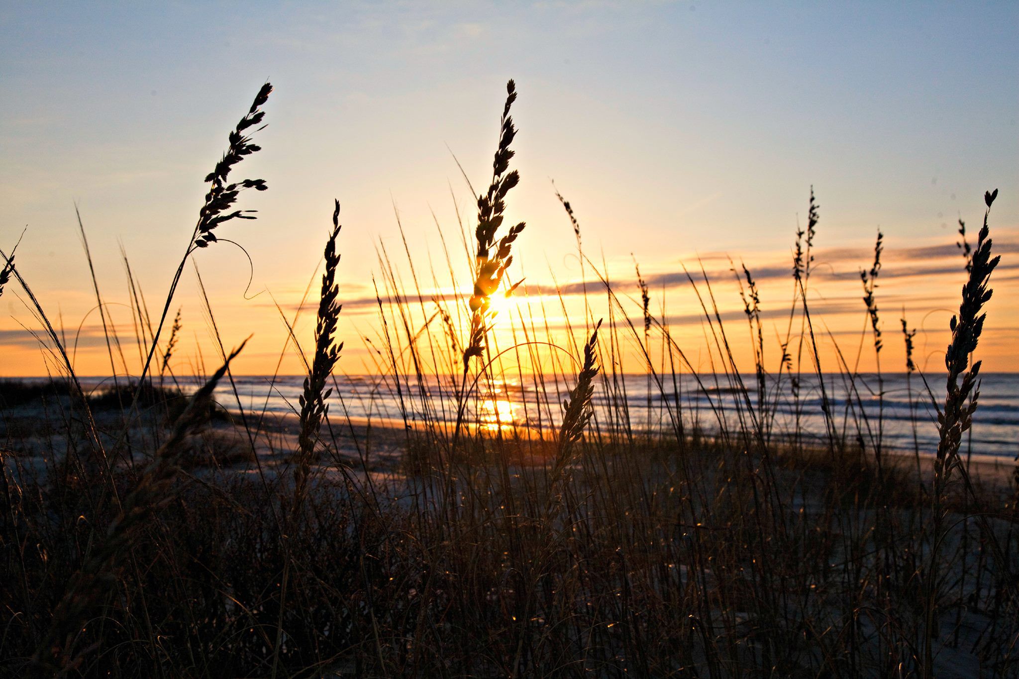 Wild Dunes Resort in Isle Of Palms, South Carolina
